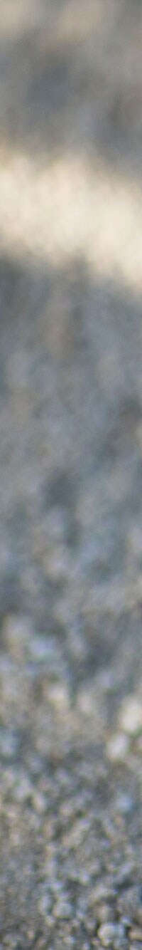 Sam Edelman | Women's Shoes, Clothing, Bags & Accessories