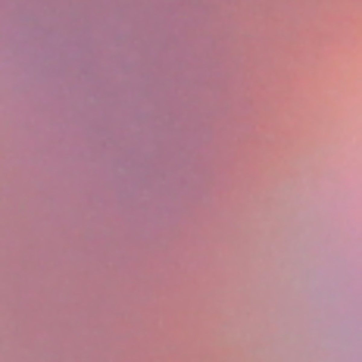 Because The Internet Background